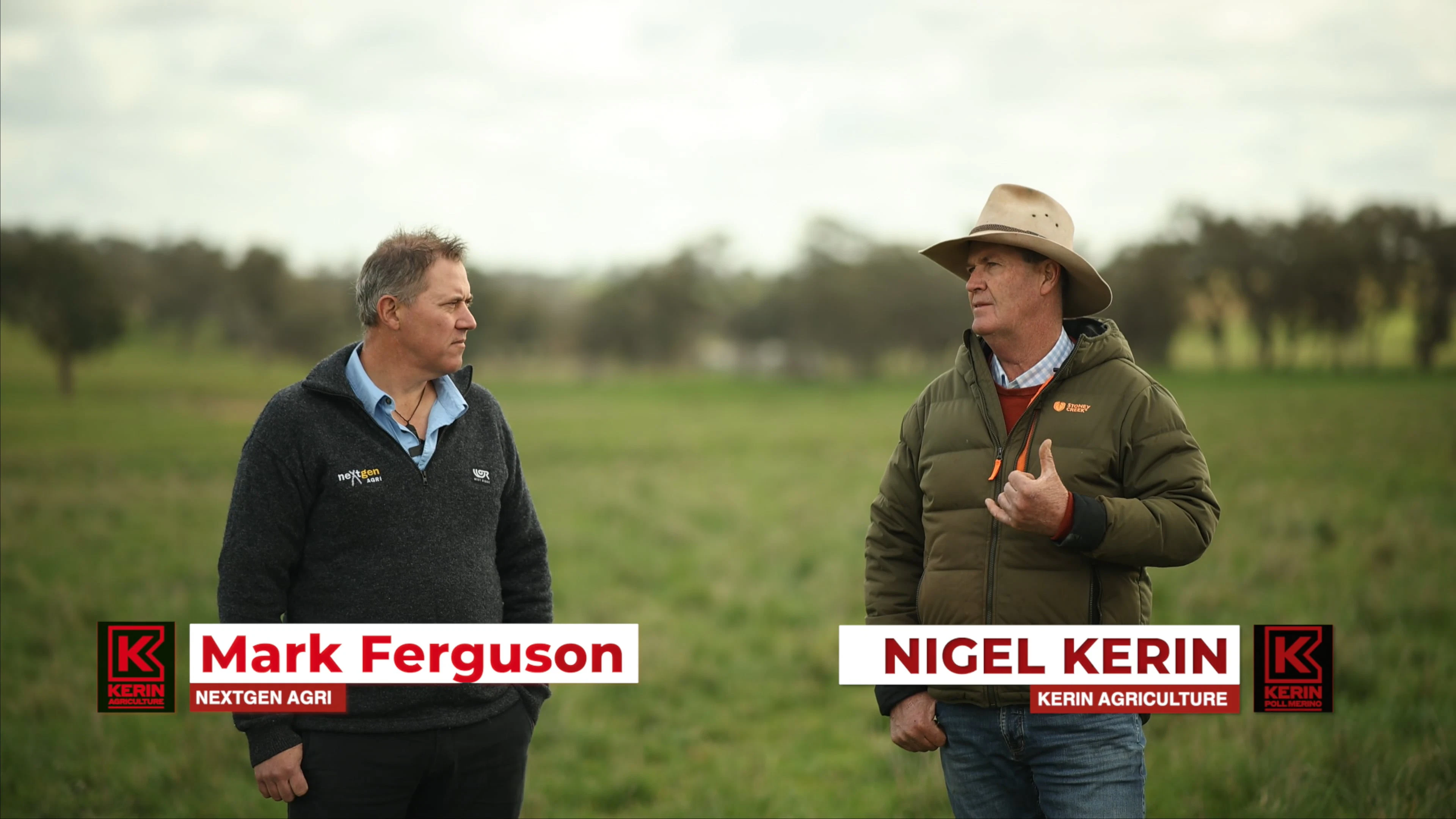 Risk Management - With Mark Ferguson neXtgen Agri